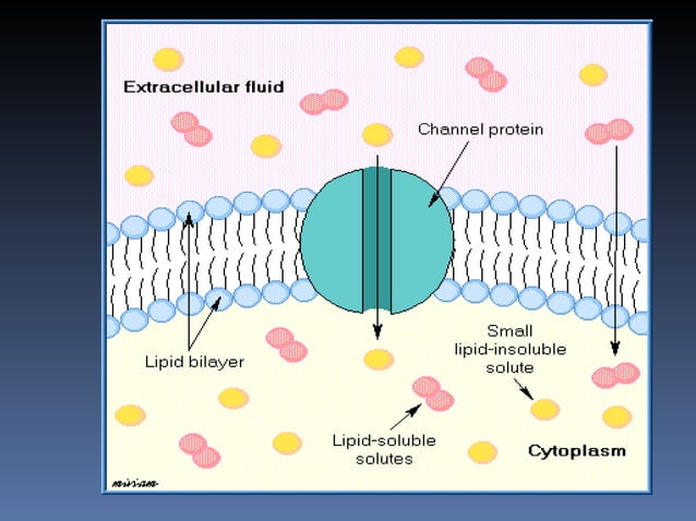 agent host environment around human life | PPT