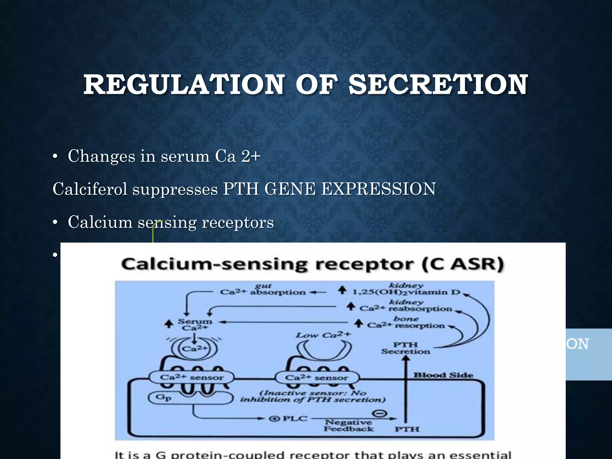 Agents affecting mineral ion homeostasis and bone turnover | PPTX