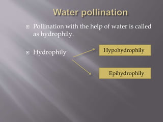 Agents of Pollination, hydrophily, anemophily, cheropetrophily ...