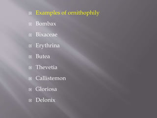 Agents of Pollination, hydrophily, anemophily, cheropetrophily ...
