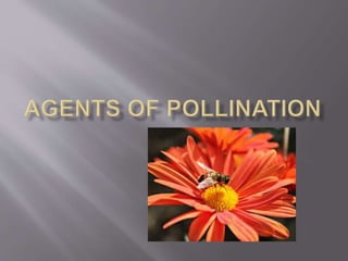 Agents of Pollination, hydrophily, anemophily, cheropetrophily ...