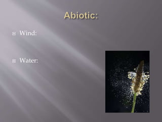 Agents of Pollination, hydrophily, anemophily, cheropetrophily ...