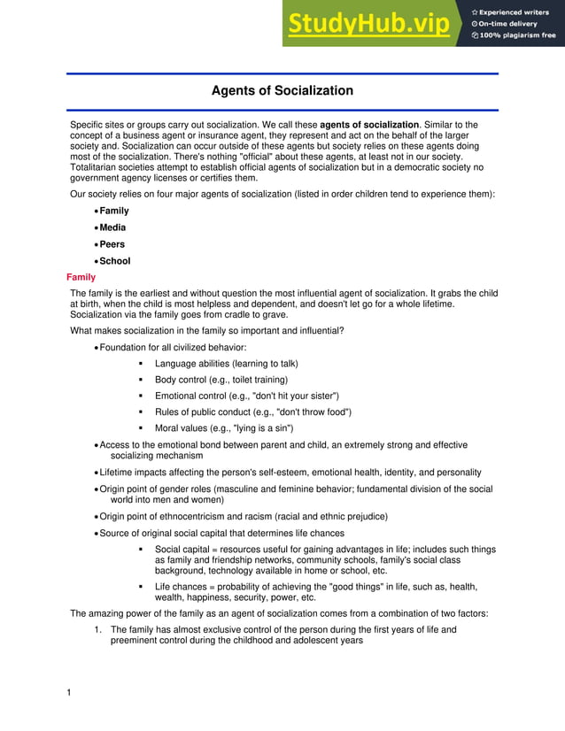 Agents Of Socialization | PDF