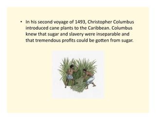 The Colonial Age of Exploration | PDF