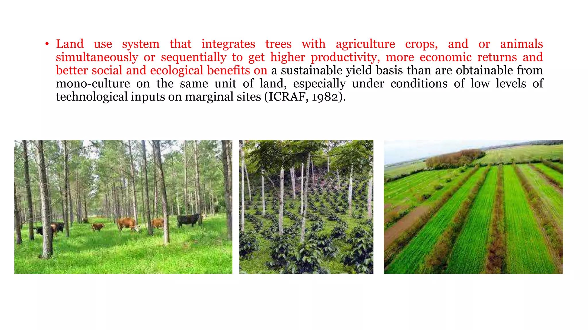 Agroforestry.pptx