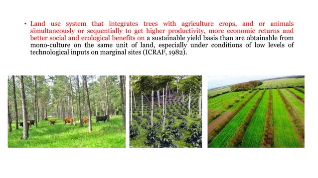 Agroforestry.pptx