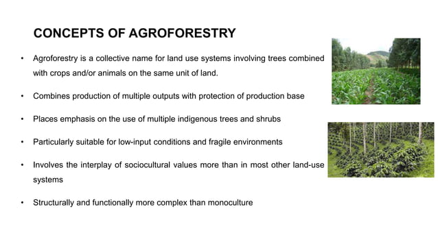 Agroforestry.pptx