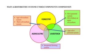 Agroforestry.pptx