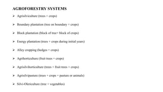 Agroforestry.pptx