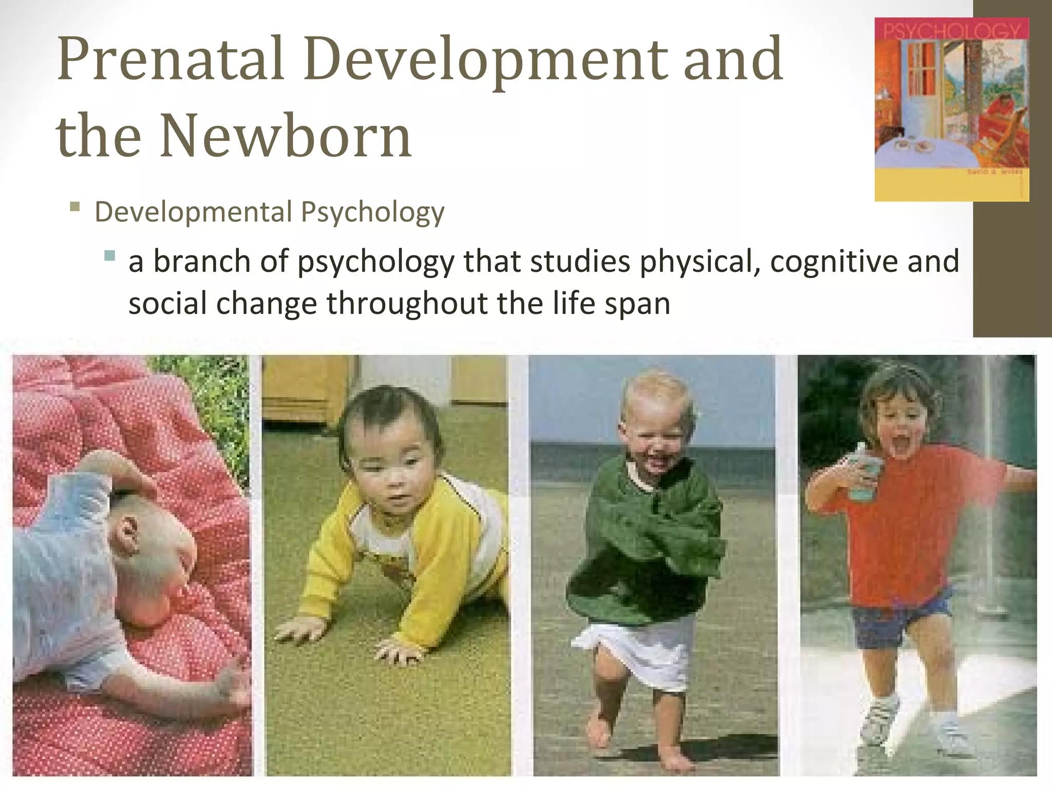 Age ranges and human development | PPT