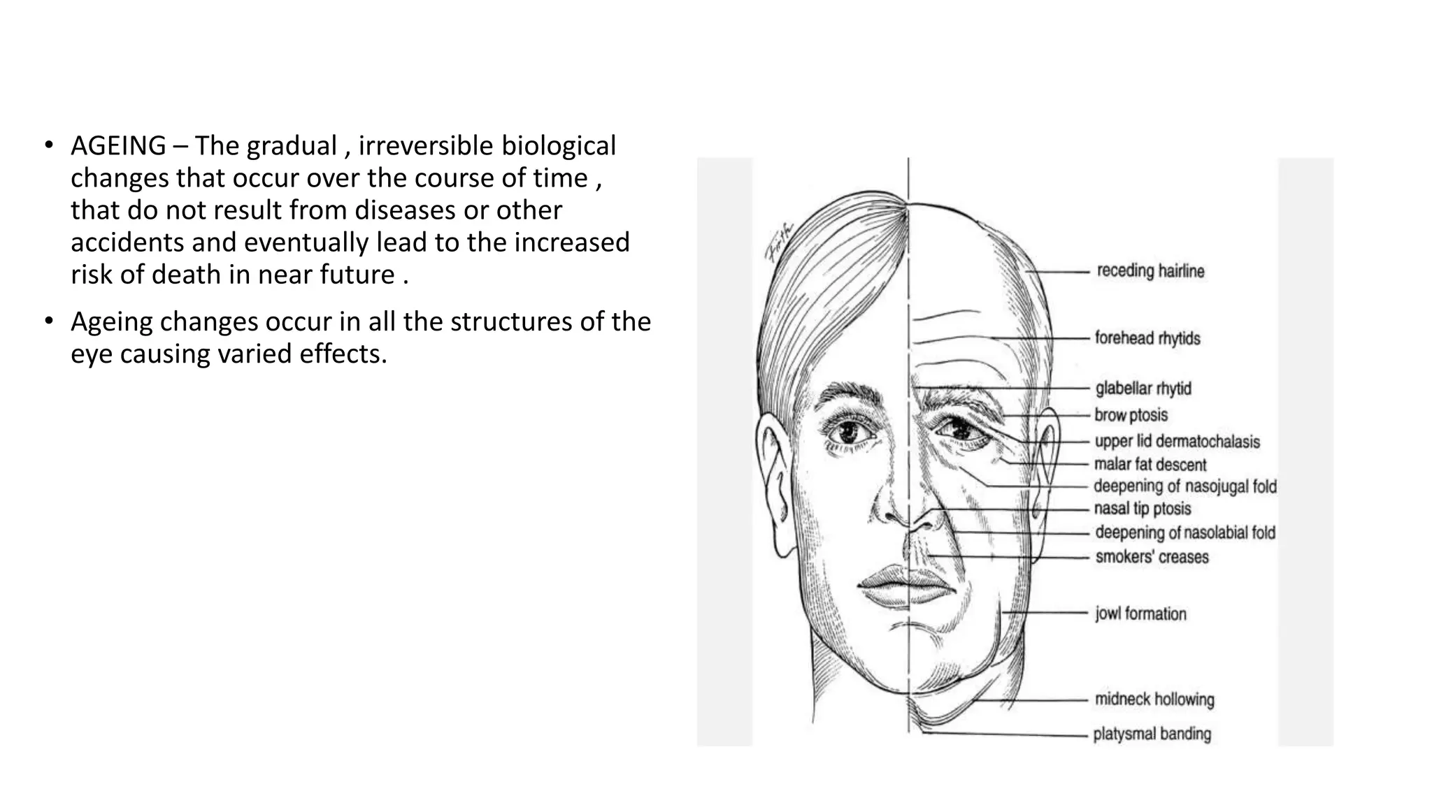 AGE RELATED CHANGES IN EYE(Eyelids, Conjunctiva, cornea, iris, pupil ...