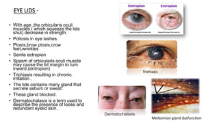 AGE RELATED CHANGES IN EYE(Eyelids, Conjunctiva, cornea, iris, pupil ...