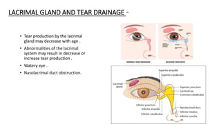 AGE RELATED CHANGES IN EYE(Eyelids, Conjunctiva, cornea, iris, pupil ...