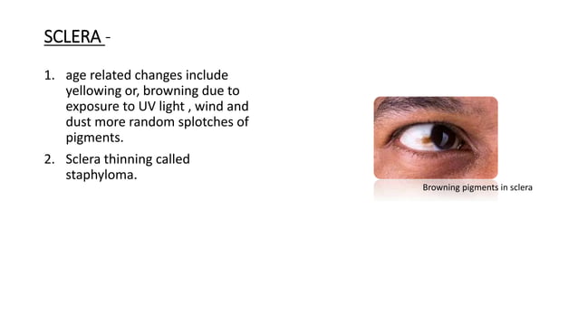 AGE RELATED CHANGES IN EYE(Eyelids, Conjunctiva, cornea, iris, pupil ...