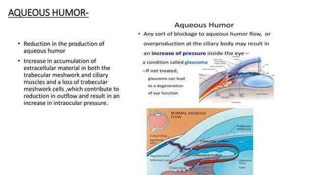 AGE RELATED CHANGES IN EYE(Eyelids, Conjunctiva, cornea, iris, pupil ...