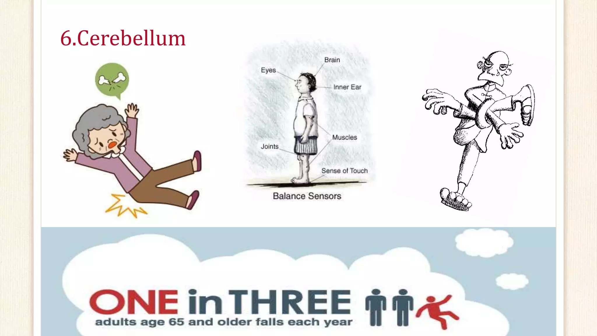 Age related changes in nervous system | PPTX