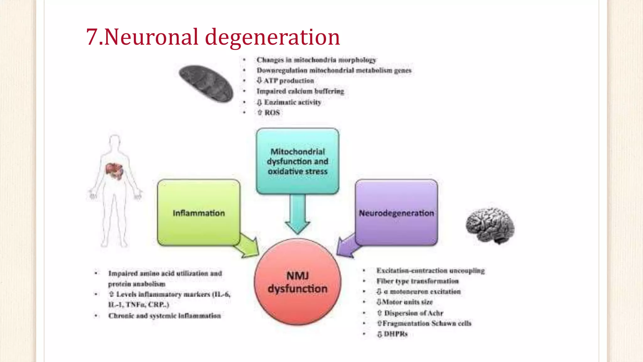 Age related changes in nervous system | PPTX