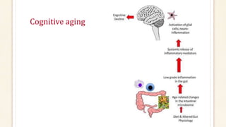 Age related changes in nervous system | PPTX