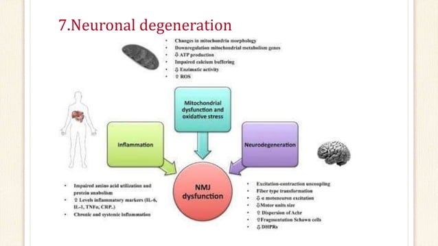 Age related changes in nervous system | PPTX