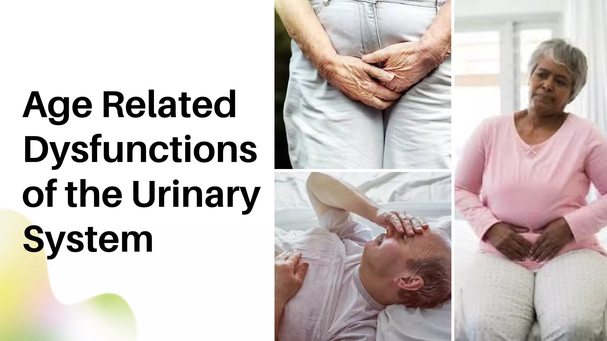 Age Related Changes to the Urinary System.pdf