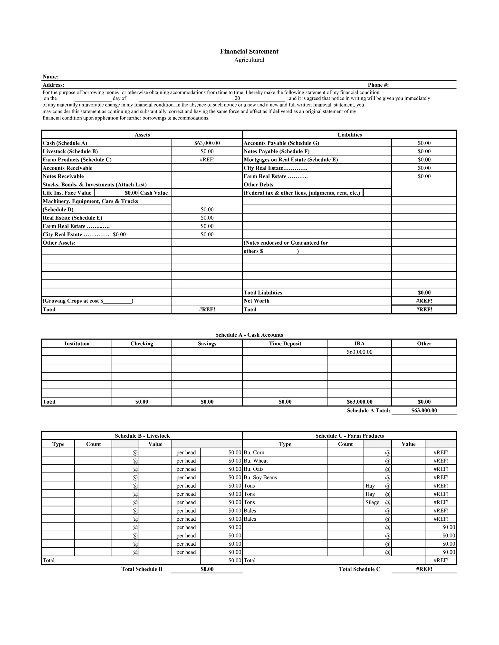 Ag financial statement | PDF