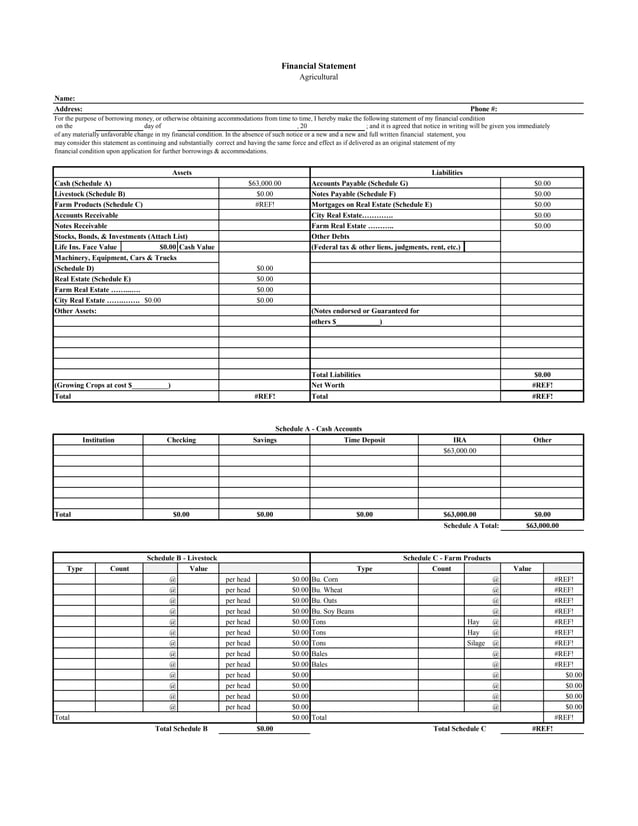 Ag financial statement | PDF