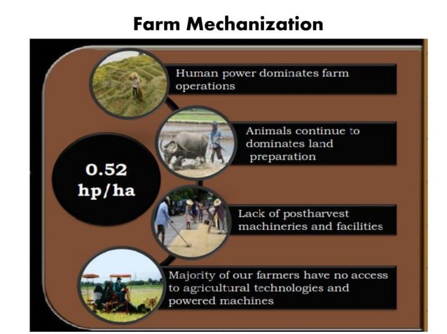 The Role of Agricultural Modernization in Achieving Food Security and ...