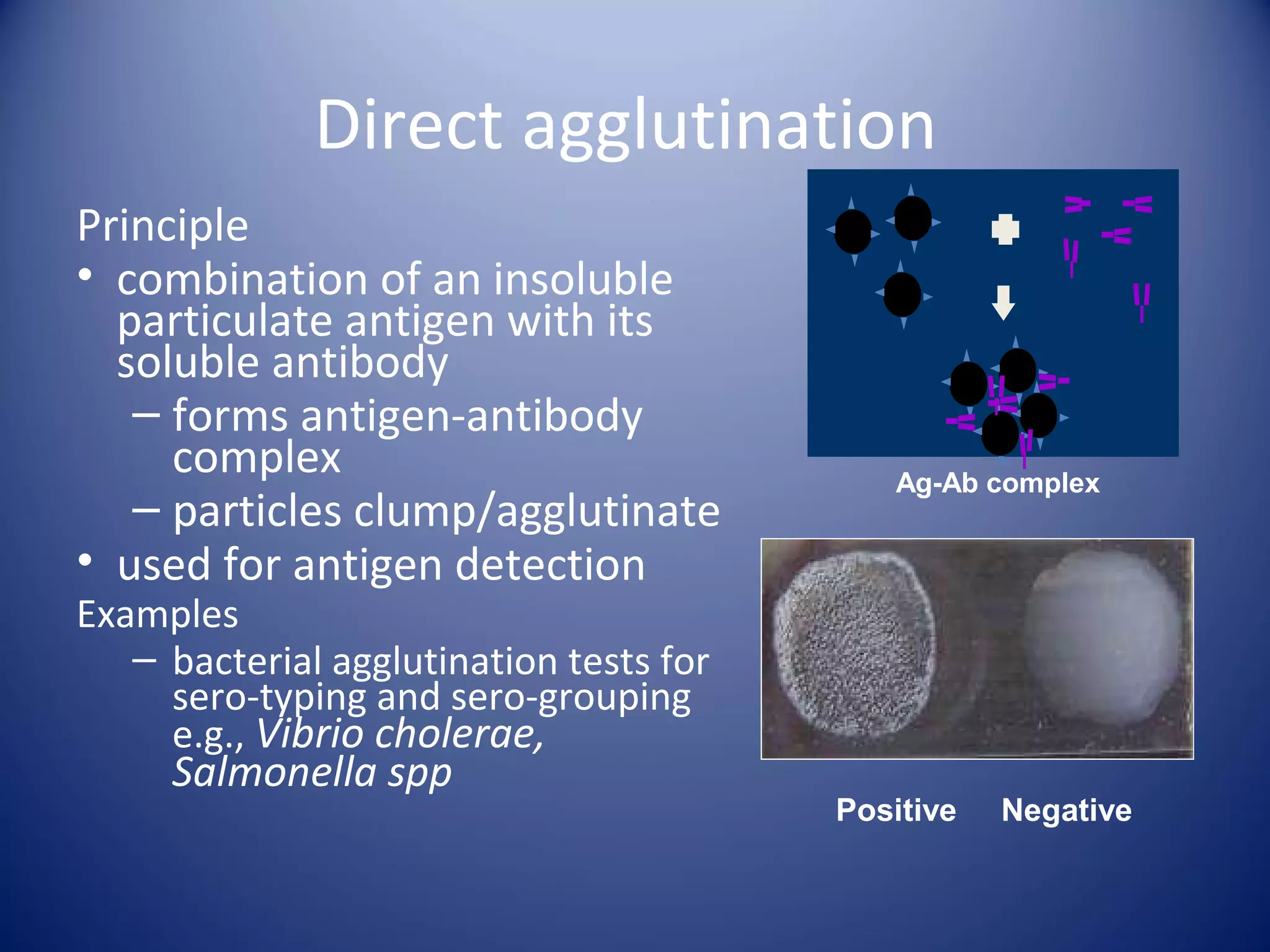Agglutination | PPT