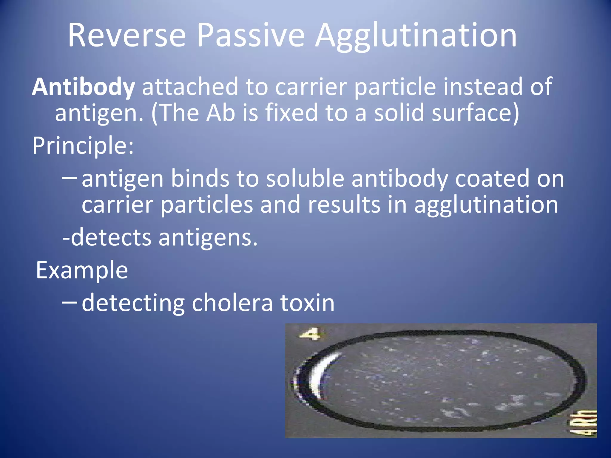 Agglutination | PPT