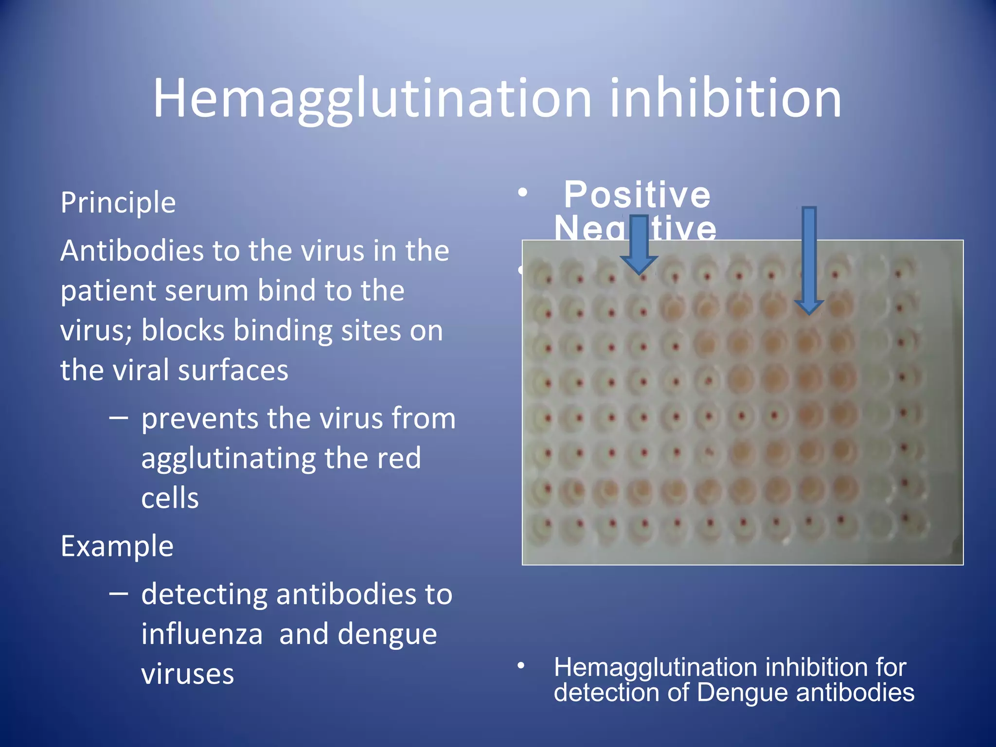Agglutination | PPT