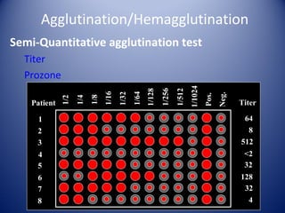 Agglutination | PPT