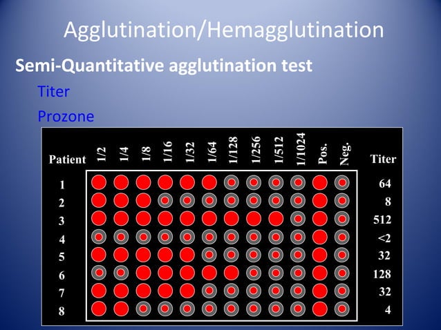 Agglutination | PPT