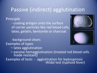 Slide Agglutination Test Procedure