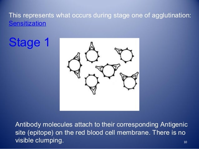 Agglutination