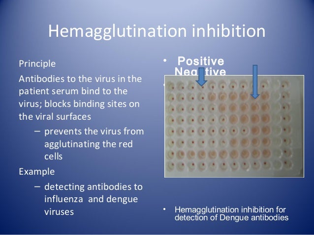 Agglutination