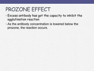 Agglutination | PPTX