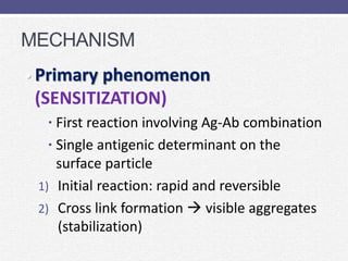 Agglutination | PPTX