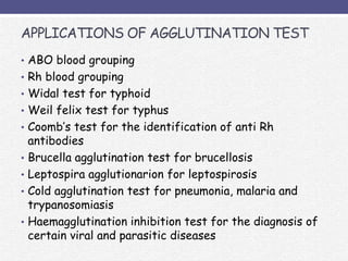 Agglutination Test Microbiology