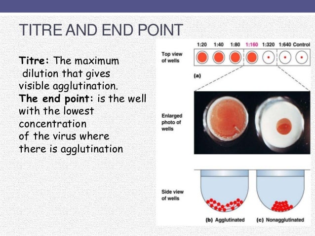Positive Agglutination Test