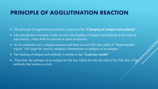 Agglutination | PPTX