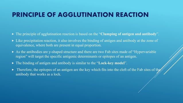 Agglutination | PPTX | Chemistry | Science