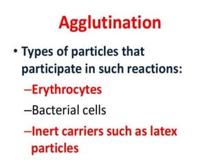Agglutination | PPT