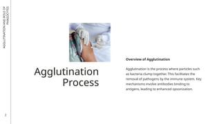 Agglutination and the Role of Phagocytes | PPT