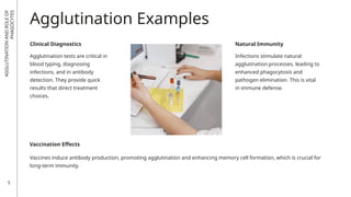 Agglutination and the Role of Phagocytes | PPT