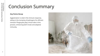 Agglutination and the Role of Phagocytes | PPT
