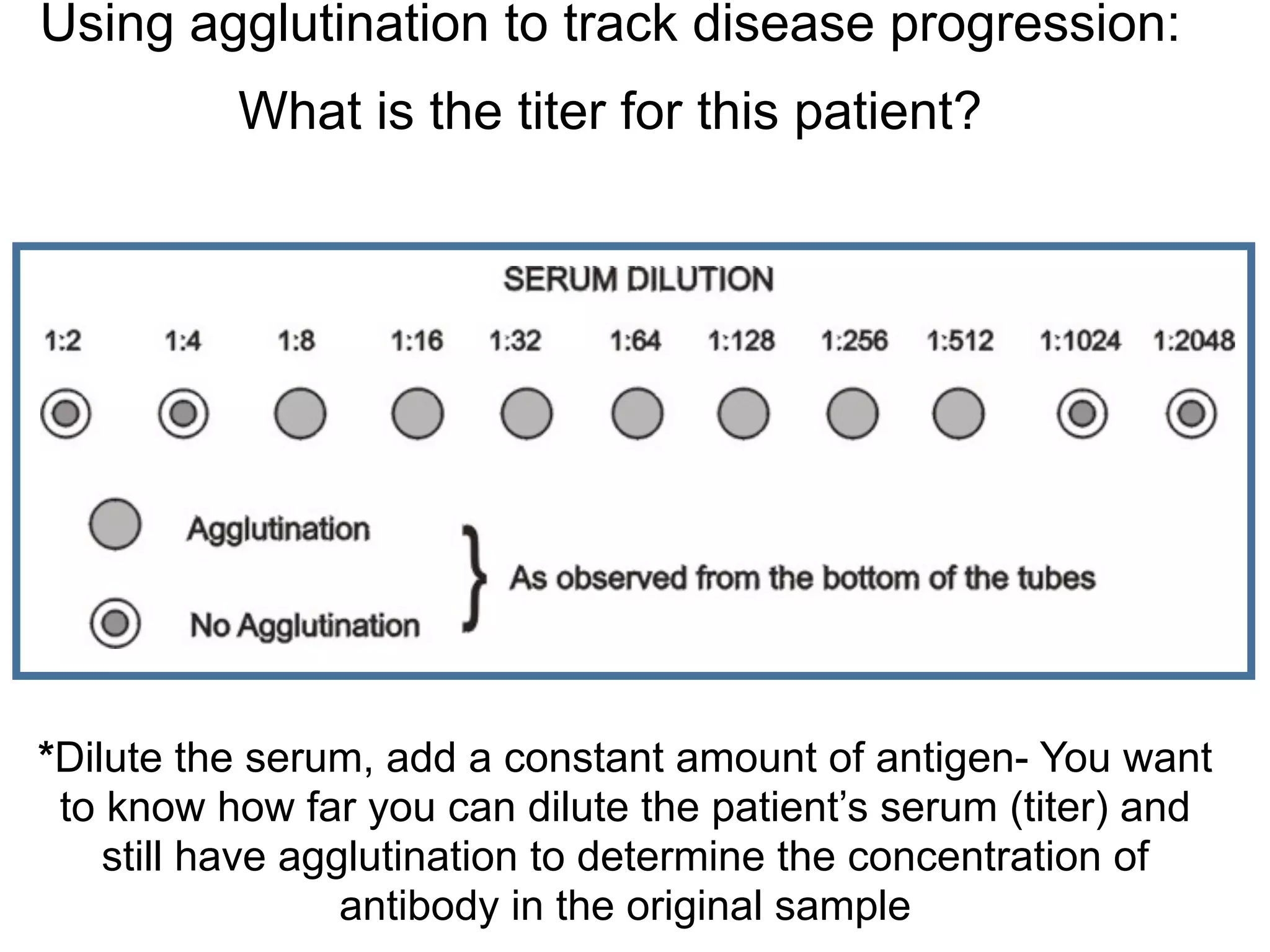 Agglutination lecture | KEY