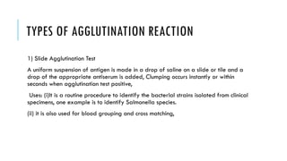 AGGLUTINATION REACTION antig. antib. re. | PPT