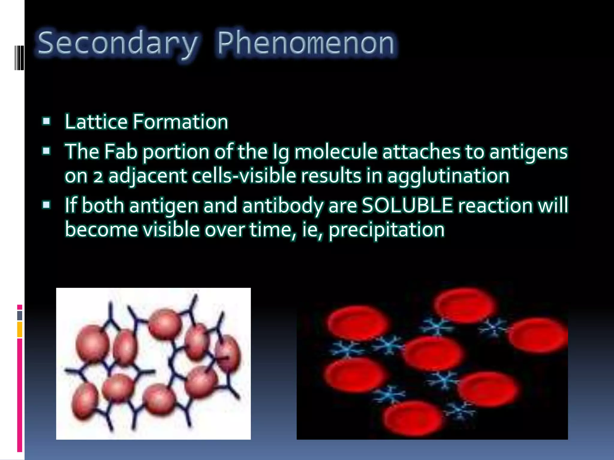 Agglutination reactions | PPTX