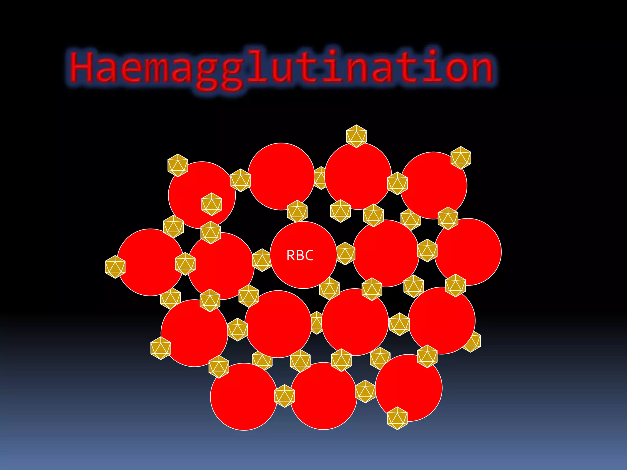 Agglutination reactions | PPTX