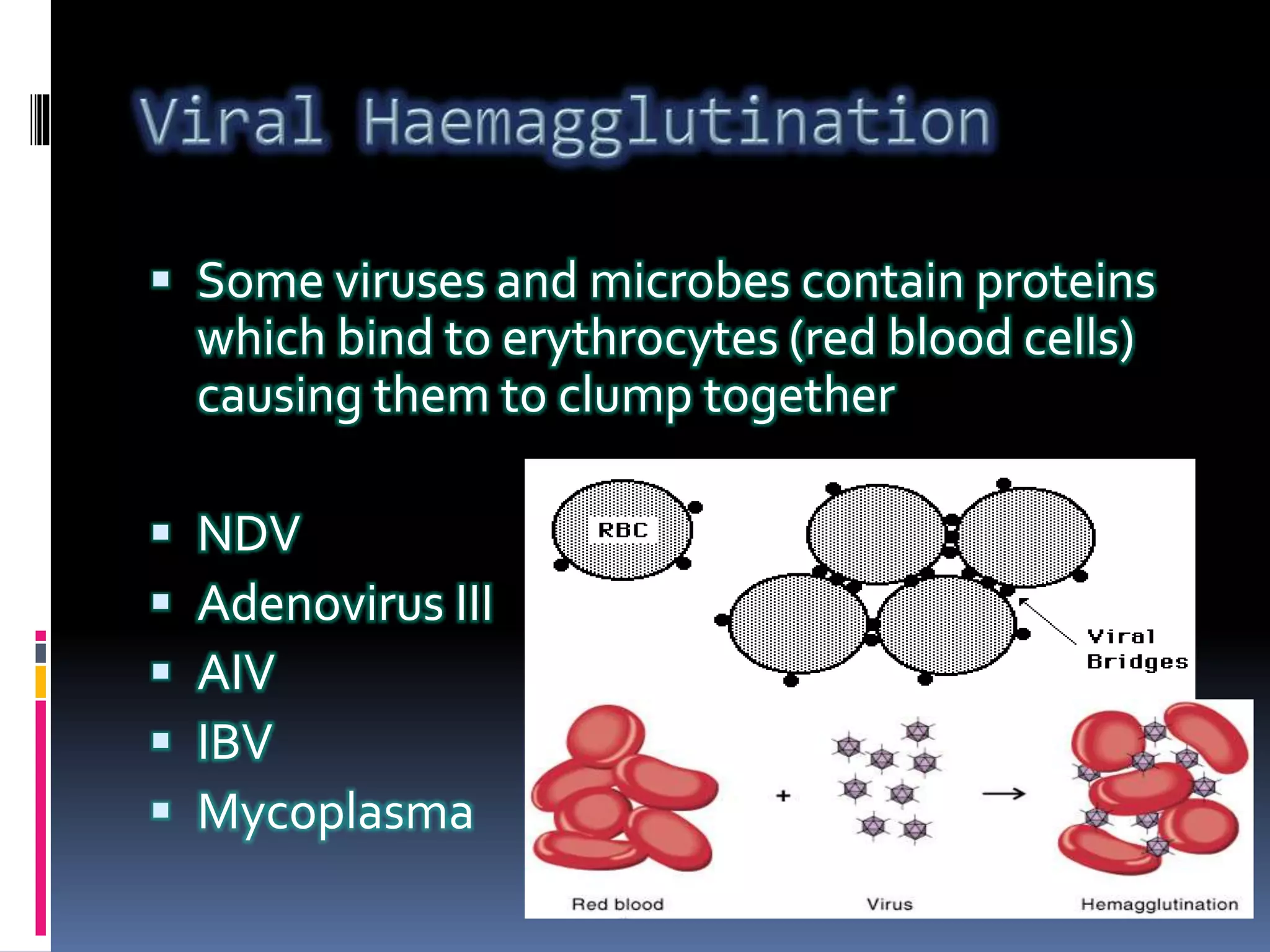 Agglutination reactions | PPTX
